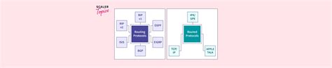 Routed Protocols Vs Routing Protocols Scaler Topics