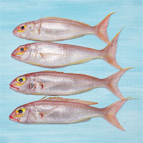 Fresh Sultan Ibrahim Whole Cleaned 500 G Online At Best Price Lulu Oman