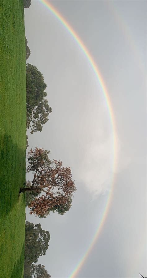 Double Rainbow Over Grassy Field