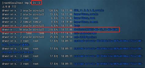 Linux安装部署oracle 11gr2完整步骤 克峰同学 博客园