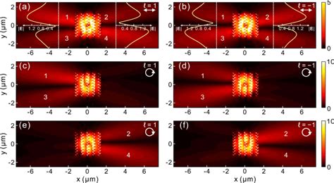 Fdtd Simulation Results Of The Electric Field Distributions E On