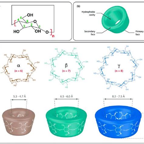 Cyclodextrin Cd Structures Of A The Monomer Unit B The Overall Download Scientific