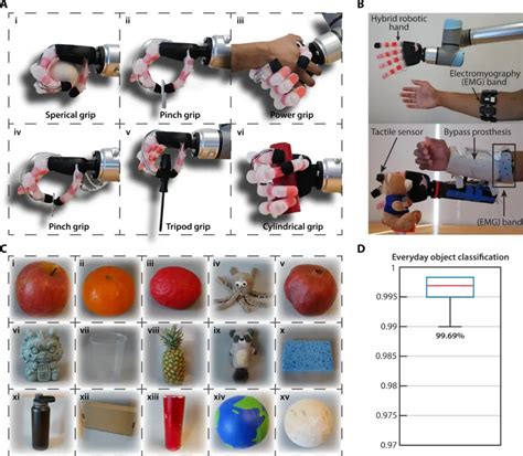 Science Advances 具有神经形态触觉感应的仿生假手 知乎
