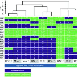Mirror Experiment Responses Are Similar To Opposite Sex Stimulus Download Scientific Diagram