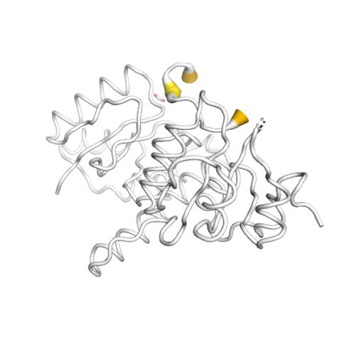Brip1 Gene Somatic Mutations In Cancer