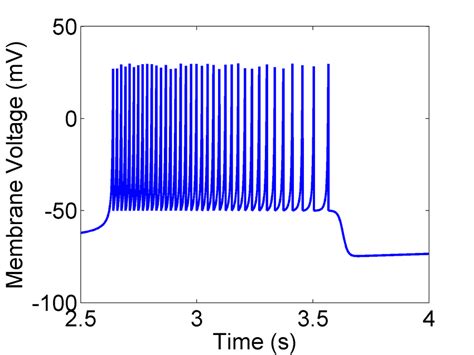 1 Example Of Output From Spiking Neuron Model Synapse And Motor Download Scientific Diagram