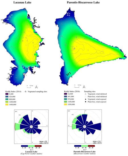 Plants Special Issue Macrophytes In Inland Waters From Knowledge To Management
