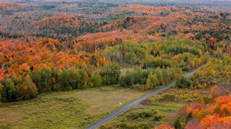 Black River National Forest In Michigan Upper Peninsula Bright Autumn
