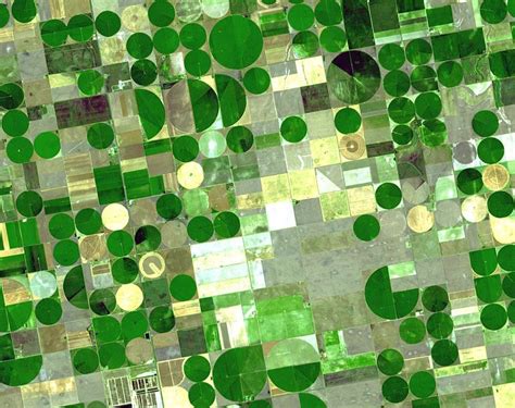 GIS In Agriculture Integrate Sustainability