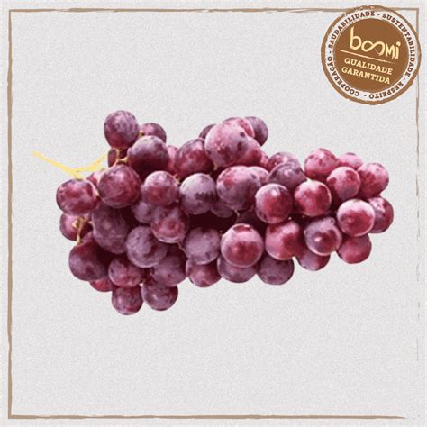 Uva Roxa Sem Sementes Orgânica 300g Horta Frutas Boomi