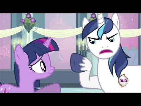 Princess Twilight Sparkle And Shining Armor