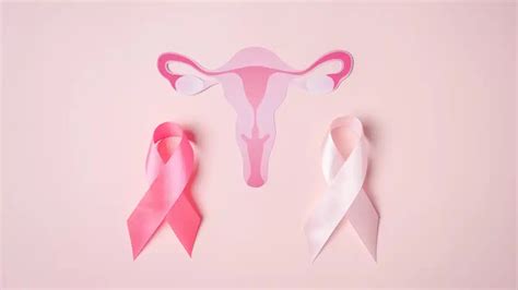 How Does Hpv Spread Explore The Factors Associated Risks And Preventions