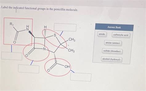 Solved Label The Indicated Functional Groups In The