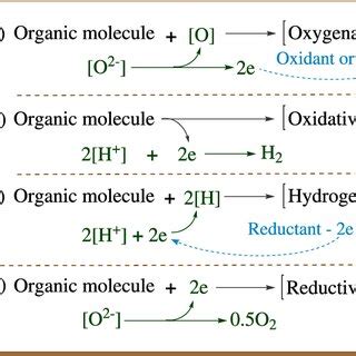 Background Of This Work Organic Reactions With H2O As The Oxygen Source Download Scientific