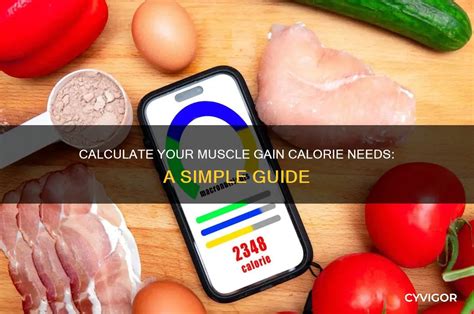 Calculate Your Muscle Gain Calorie Needs A Simple Guide Cyvigor