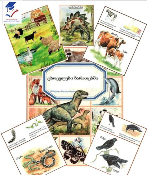 ინკლუზიური განათლება ეფექტური და ხარისხიანი სწავლება 🖇️ ყველაზე დიდი საგანმანათლებლო რესურსი