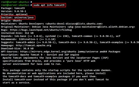 How To Install Apache Tomcat On Ubuntu 2204