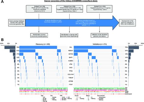 Study Summary A And Mutational Profiling Of The Discovery And