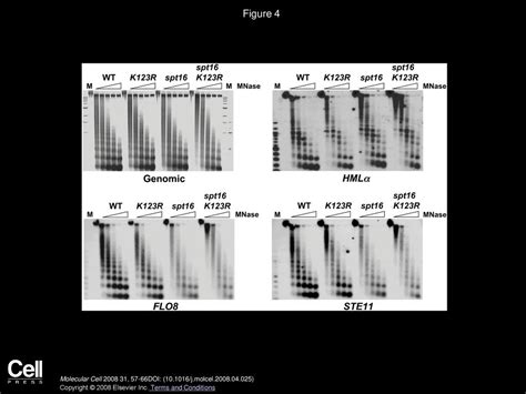Volume 31 Issue 1 Pages July 2008 Ppt Download