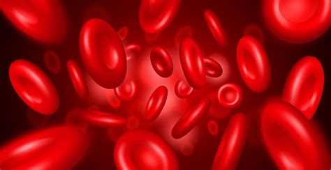 현실적인 스트리밍 혈액 세포 3d 적색 입자가있는 매크로 용기 추상 적혈구 배경 확대 된 동맥 흐름 순환계 현미경 분자 벡터 개념 건강 검진에 대한 스톡 벡터 아트 및 기타