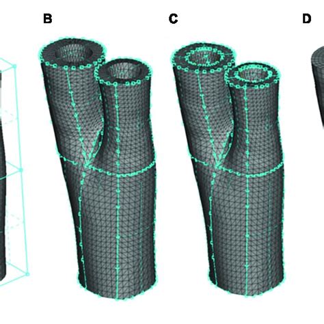 the sequence of generating a structured hexahedral mesh from a human