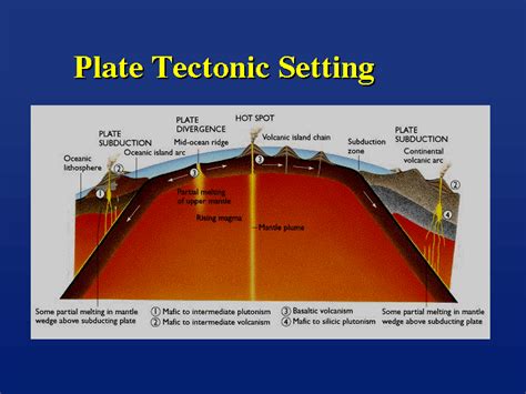 Plate Tectonic Setting