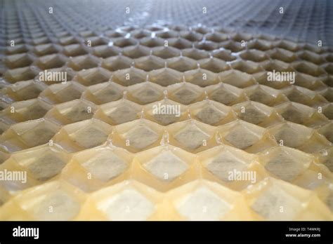 Honeycomb Pattern Symmetry Hi Res Stock Photography And Images Alamy
