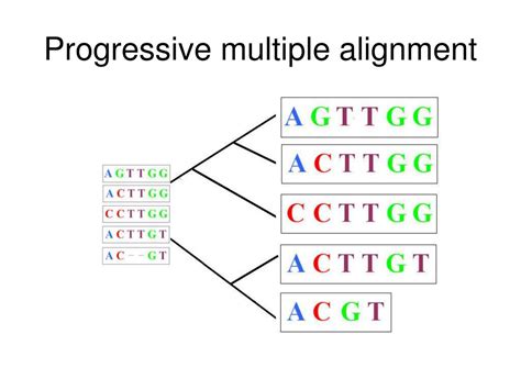 Ppt Multiple Sequence Alignment Powerpoint Presentation Free Download Id5644426