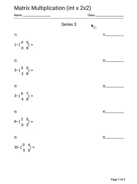 Math Matrix Multiplication Int Times 2x2 Matrix Worksheet Series 3