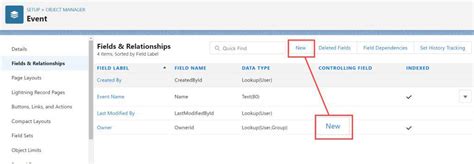Salesforce Text Area Field