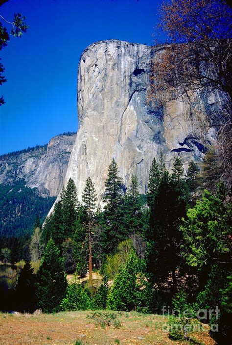 El Capitan Stands Tall In The Yosemite Valley Photograph By Wernher