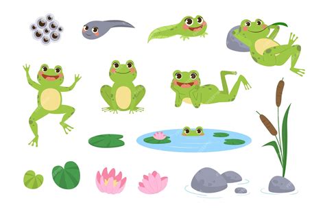 행복 한 만화 개구리 일러스트 세트 프리미엄 벡터