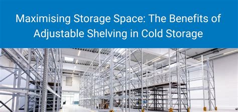 Maximising Storage Space The Benefits Of Adjustable Shelving In Cold Storage RINAC