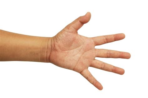 Hand Without Background Images Free Download On Freepik