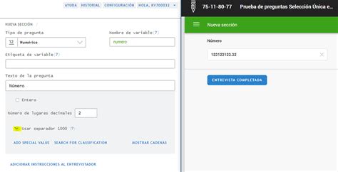 The Numerical Questions Dont Show The Thousands Separator Syntax Survey Solutions User