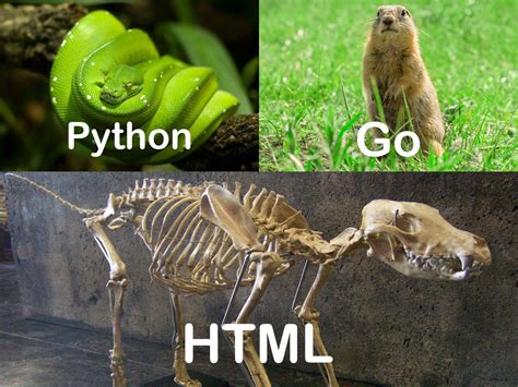 Chain Rule In Darts Differentiable Architecture Search R Algorithms