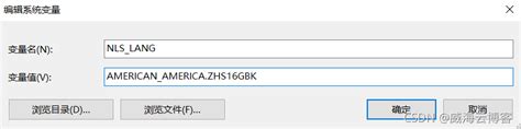 Plsql中文乱码（查询显示问号？？？）plsql 中文乱码 Csdn博客