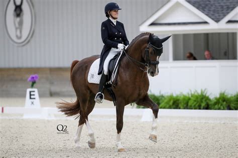 What's Happening this Week at World Equestrian Center - Ocala - World ...