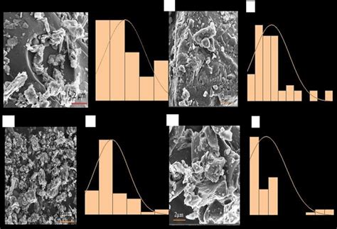 A Sem Image Of Kaolin B Histogram For Particle Size Distribution