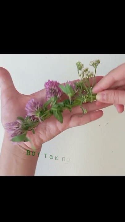 Делаем венок из полевых цветов 🌸🪻 Youtube