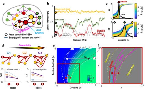 Hypothesis Aberrant Local Criticality And Elevated Large Scale