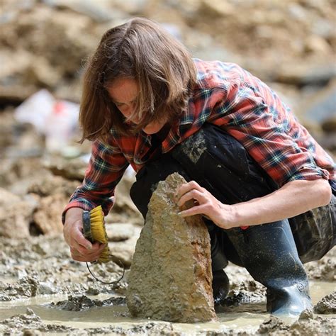 Descubrieron Una “pompeya Jurásica” Un Cementerio De Criaturas Marinas