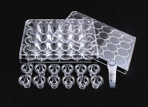 Breaking The Barrier Thewell Bioscience Launches Vitrogel Based Cell Invasion Assay Kits To