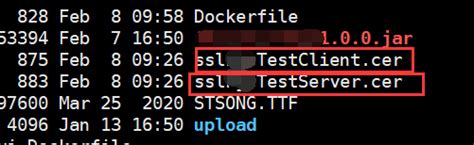 自建ca证书，使用docker部署java程序支持双向认证docker Java设置cer证书 Csdn博客