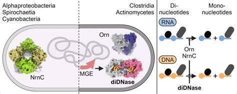 Breakthrough Centre For Structural Systems Biology Cssb