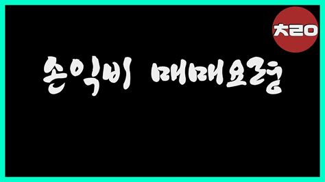 손익비 매매 요령 Youtube