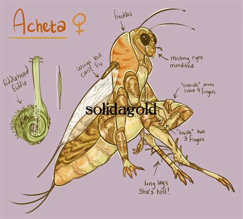 Acheta Tbn On Toyhouse