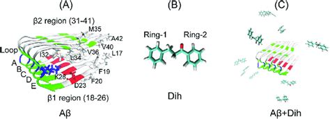 The Initial Structure Of The Ab 17À42 Protofibril Ab System The