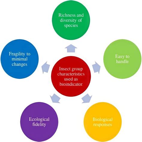 Insect Bioindicators Of Different Ecosystems Download Scientific Diagram