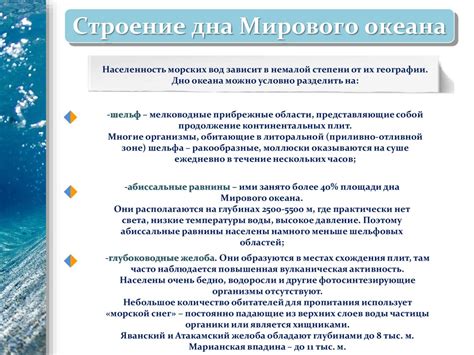 Жизнь в океане Основные районы рыболовства Экологические проблемы Мирового океана Online